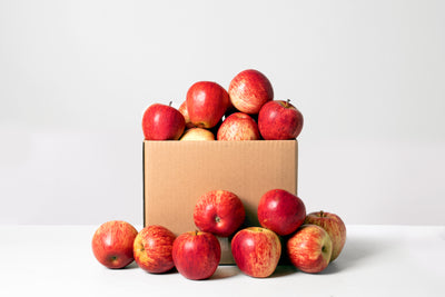 Premium Fresh Fruit & Veg Boxes Since 2009 – Oakridge Fresh Ltd