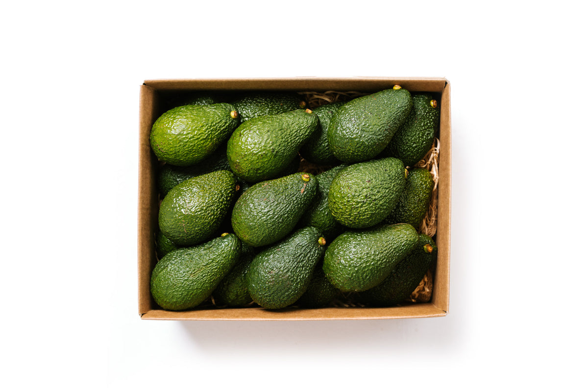 Buy 25 Small Hass Avocados | Oakridge Fresh | Fruit Box Delivery ...